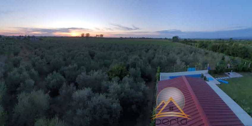 Shitet toke truall, vile + pishine, Ferme ne zonen e Durresit 20 000m2 ...